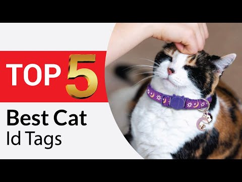 Top 5 Best Cat ID Tags Reviews in 2025