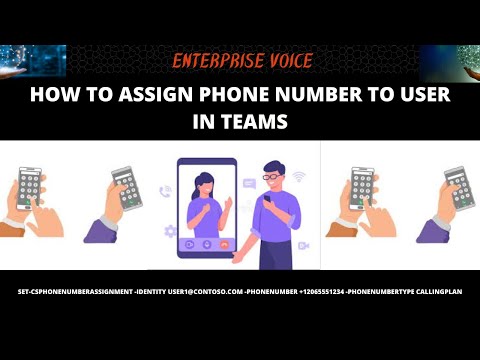 How to Assign a phone number to a user in Microsoft Teams