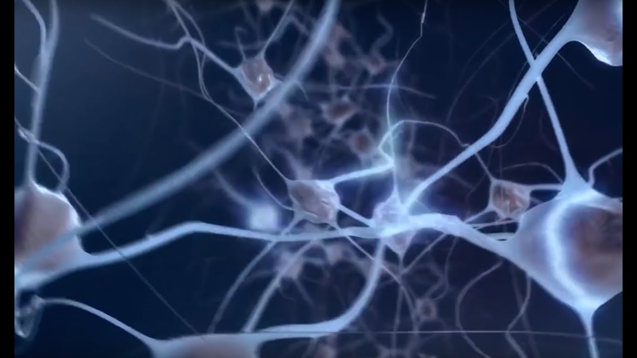 MIT: Minds and Machines