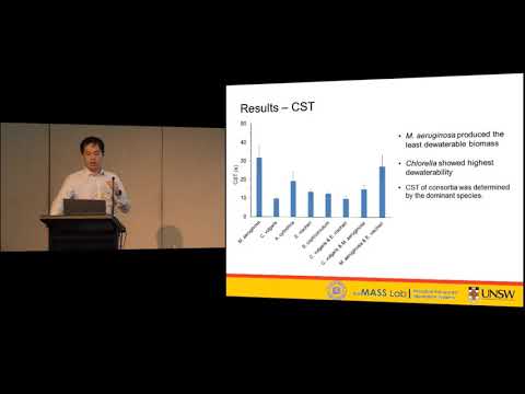 Yunglong Luo: Culture of cynobacteria and algal consortia for wastewater treatment