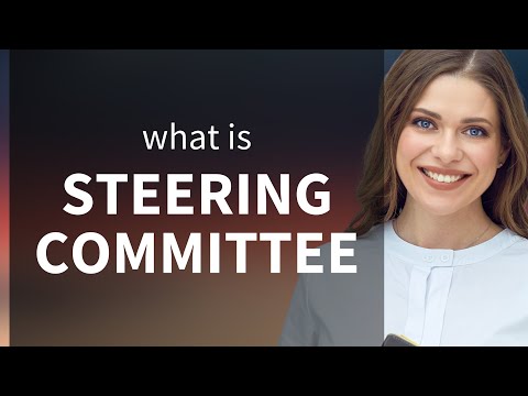 Steering committee • STEERING COMMITTEE meaning