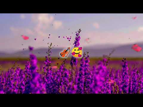 Dil se Dil Lyrics | Sita Ramam | Vishal Chandrashekhar | shashwat Singh | Mander C.