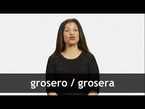 English Translation of “GROSERO” | Collins Spanish-English Dictionary