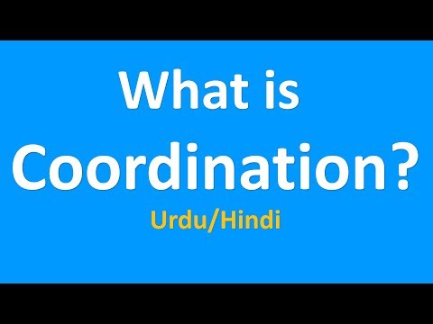 What is Coordination?(Urdu/Hindi) by Easy Learning 700