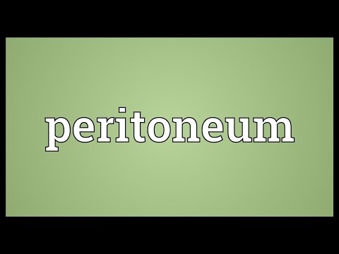 Peritoneum Meaning