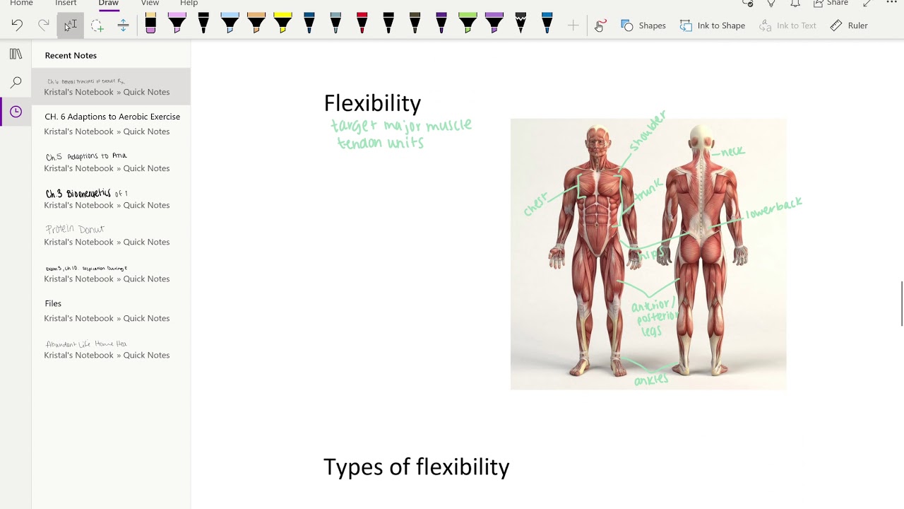 FITT-VP principles Exercise Prescription