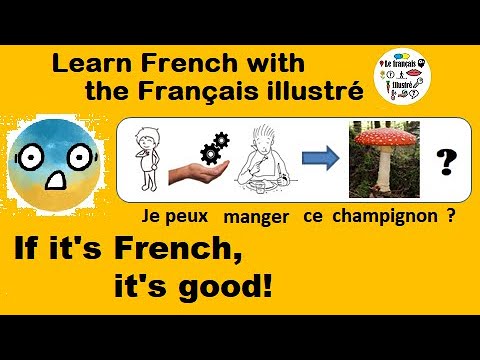 How to learn French while choosing the right mushroom: Les champignons - Le français illustré #137