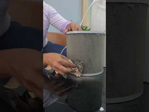 How to clean your Smart Air Purifier's filters!