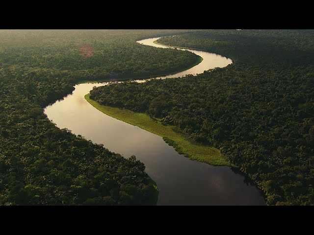 Deforestation in the Congo Rainforest (Central Africa) - map, statistics