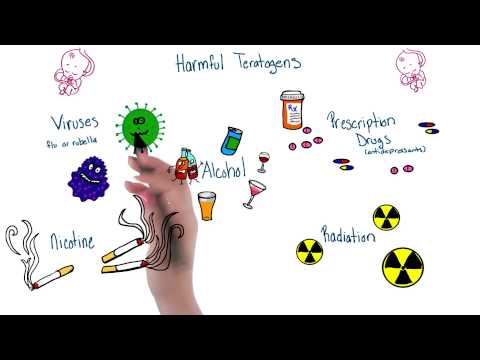 Harmful teratogens - Intro to Psychology