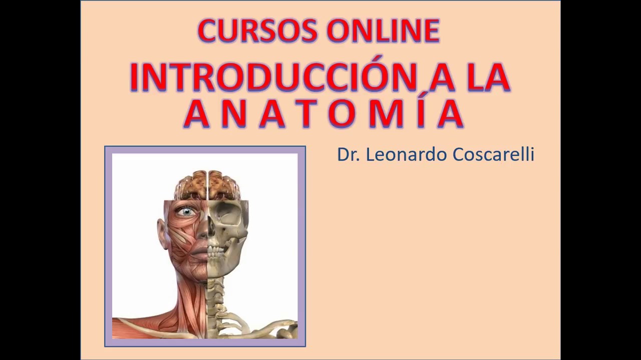 Curso introducción a la anatomía   Módulo 1 pptx
