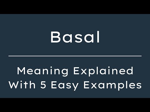 Basal Meaning in English With 5 Example Sentences, Basal Meaning in English