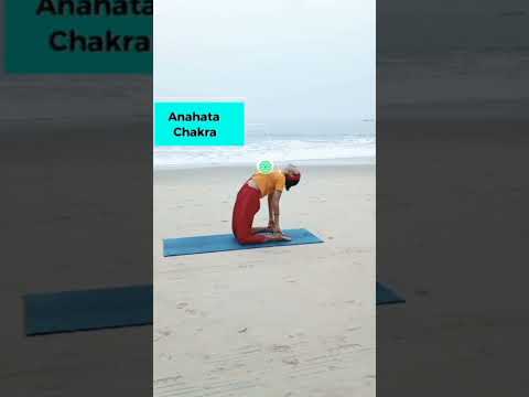 #yogaflow #ytshorts #yt #yogaforbeginners #shortsvideo #motivation #yogchakra #dance #sports #shorts