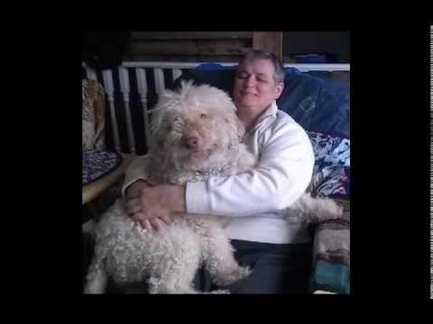 Dog Grooming Testimonial Lil Snippers | 604-846-3647 | Chilliwack Dog Grooming | Best Dog Groomer