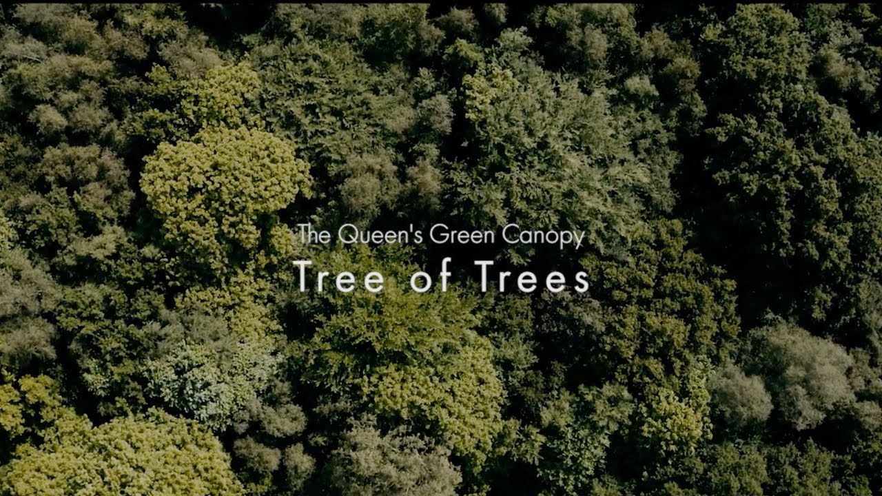 The story behind The Queen's Green Canopy Tree of Trees