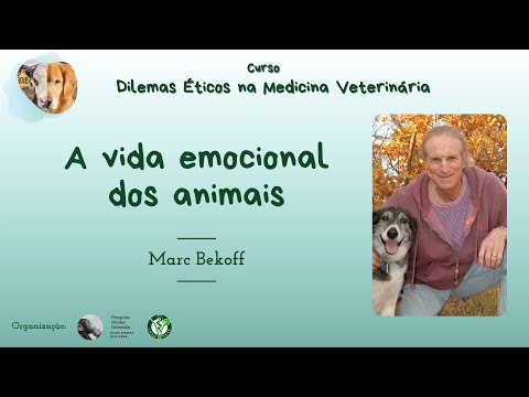 [Entrevista] - A vida emocional dos animais