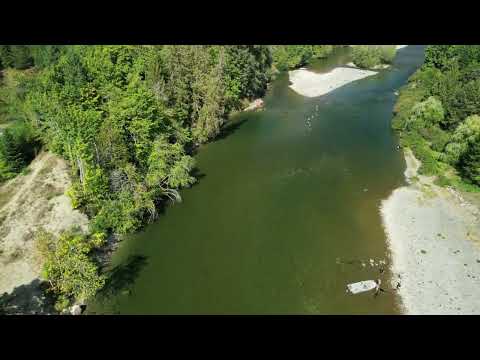 somass river fish 2