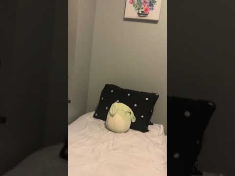 1722 W Hastings St. Walkthrough