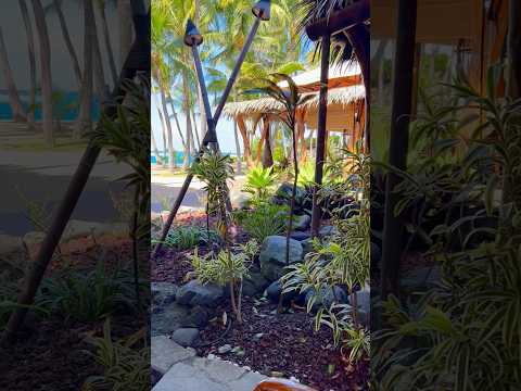 Maui’s Mama’s Fish House | Sensory Oceanfront Dining for Luxury Travelers