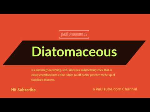 How to pronounce Diatomaceous