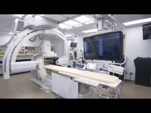 Cath Lab - Philips Fd10 Cath Lab Service Provider from Chennai