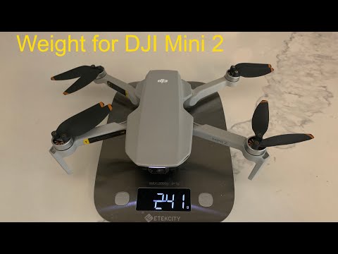 DJI Mini 2 - What is the weight together with propeller guard protector and landing gear added?