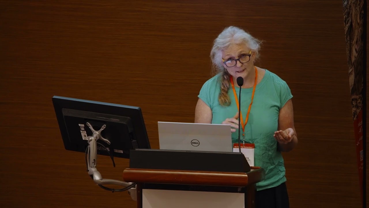 Intensive adoption as a management strategy for unowned, urban cats