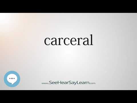 carceral - Smart & Obscure English Words Defined 🗣🔊
