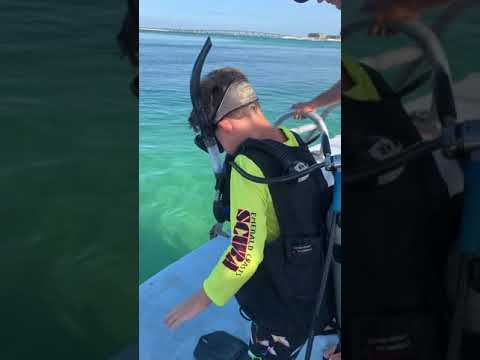 1st Open Water Dive
