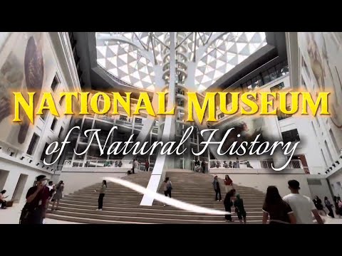National Museum of Natural History | Manila | #3rdkingdomfilms