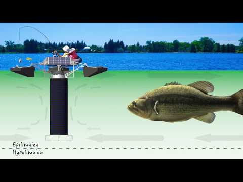 Part 2: Cyanobacteria (Blue-Green Algae) Control Mechanisms for Lakes & Source Water Reservoirs
