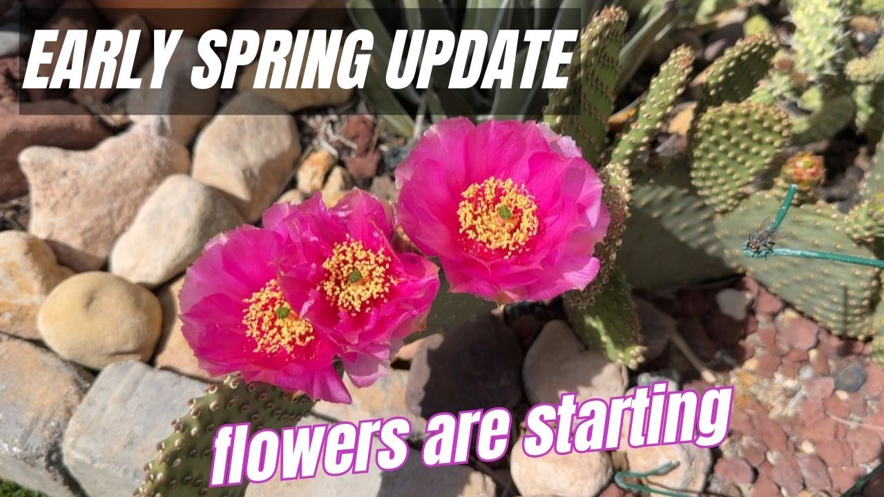 Early Spring Update