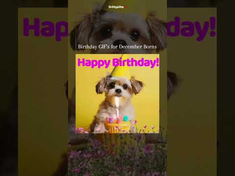 We've got the perfect GIF for every birthday celebration! ππ