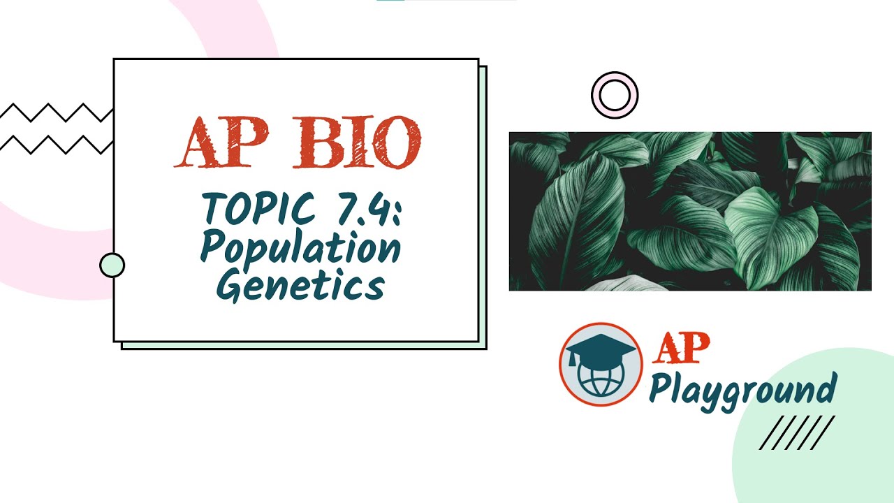 AP Biology 7.4: Population Genetics | AP Playground