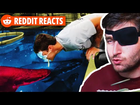 Getting Knocked Out By A Fish (and other dumb things)