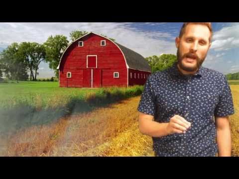 A History of Education in the U.S.