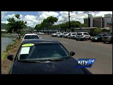City to build fence along Kapalama Canal to prevent homeless camps