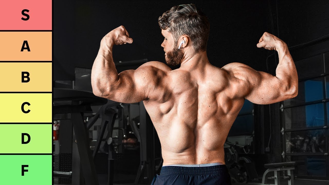 Ranking the Best and Worst Back Exercises for Muscle Growth | Galaxy.ai
