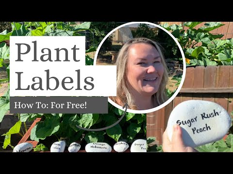Plant labels for garden - How I made permanent plant markers for free!!!