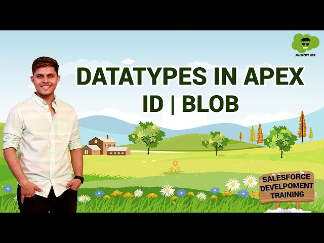 Id And Blob Datatypes In Apex Salesforce Training S2 Labs