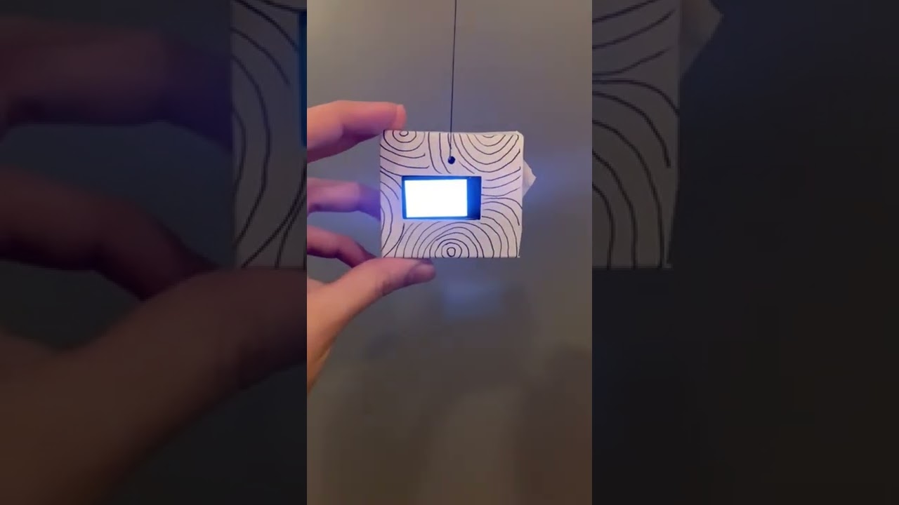 module #1 esp closeup