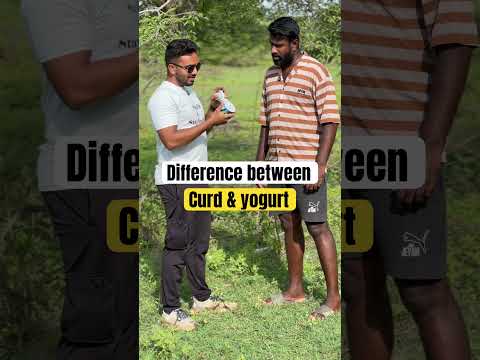 Difference between Curd & yoghurt explained in Tamil ft @Sowmyaraj2000