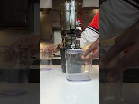 Burdock Root Shots #health #healing #energy