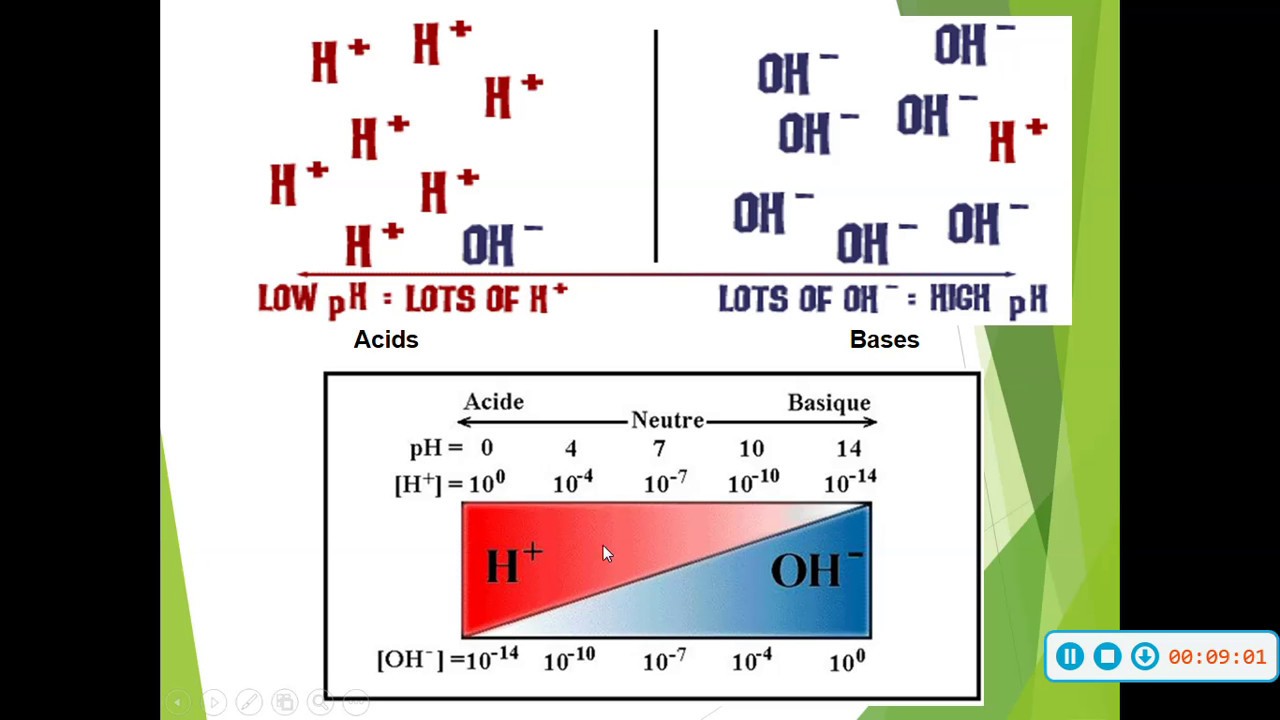 Day 2: pH Scale