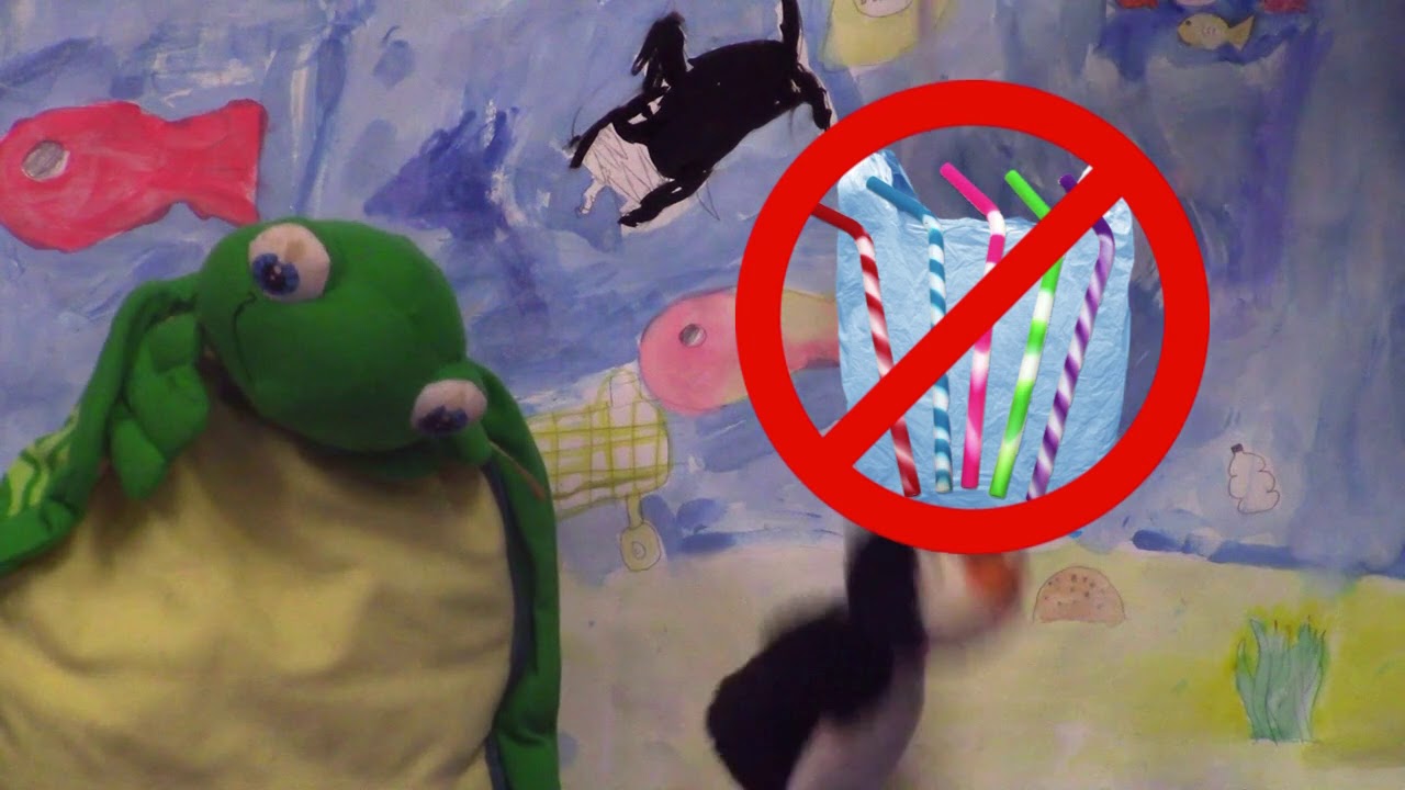 EcoTeam Recycling PSA