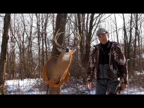 My Dear Deer Story 2000 Buck The Mexican Standoff