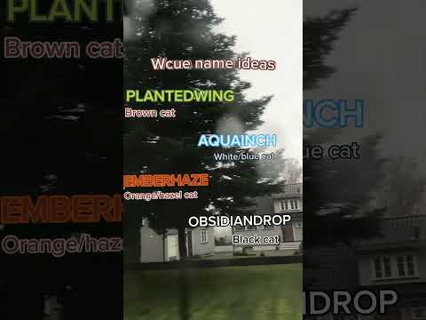 WCUE NAME IDEAS