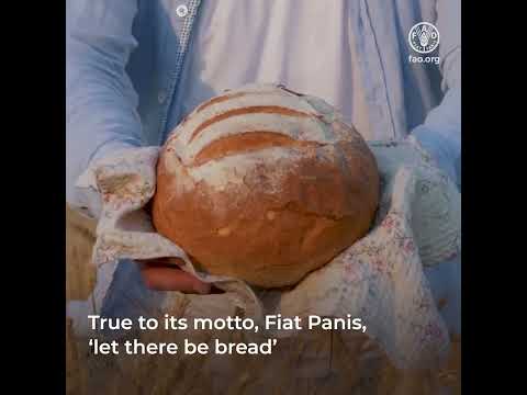 FAO’s 80th anniversary