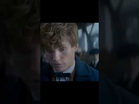 Newt Scamander edit #newtscamander #fantasticbeasts #harrypotter