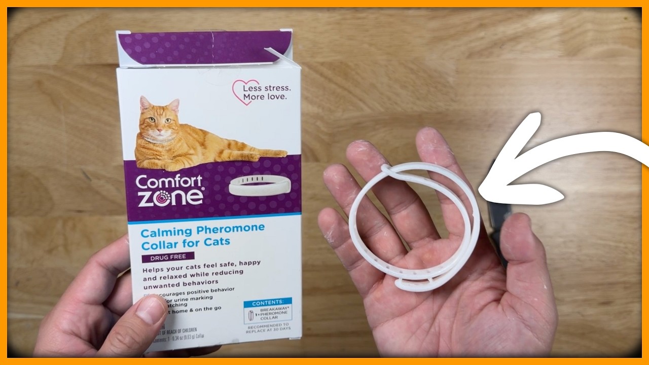 What To Know About The Comfort Zone Cat Calming Collar - Pros & Cons